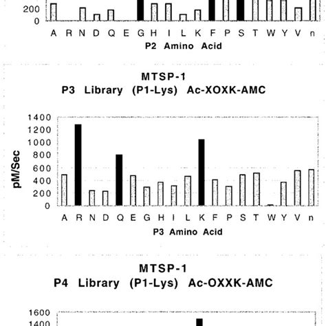 activity of mt sp1 in a p1 lys positional scanningsynthetic