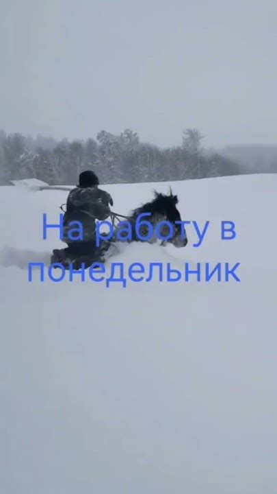 Конь. Тугеза. - YouTube