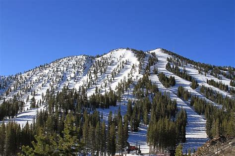 Mount Rose Ski Resort Reno Nv Ski Resort Nevada Homes Skiing