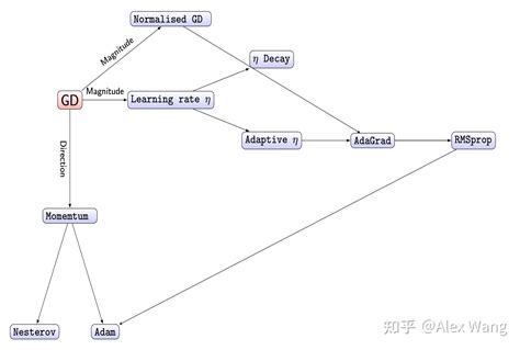 深度学习 13｜adam算法 知乎