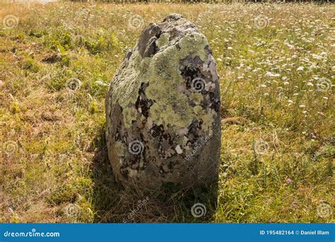 Alignment Of Menhirs In The Forest At Carnac Southern Brittany Gulf Morbihan Neolithic Site