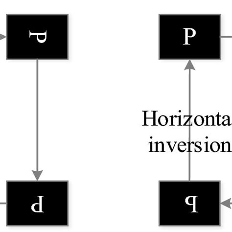 Block Rotation Left And Block Inversion Right Download Scientific Diagram