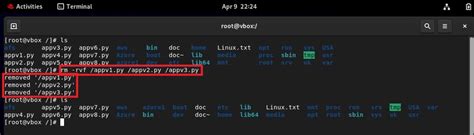 Linux Essentials How To Create Read And Delete Files And Directories