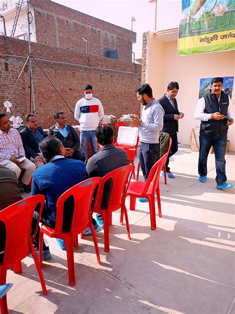 Syngenta Rdomanager Agriculturalofficers Punjab Ado Tm Risq Syngent Phalarisminor