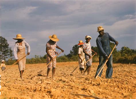 The Black Codes And Why They Matter Today