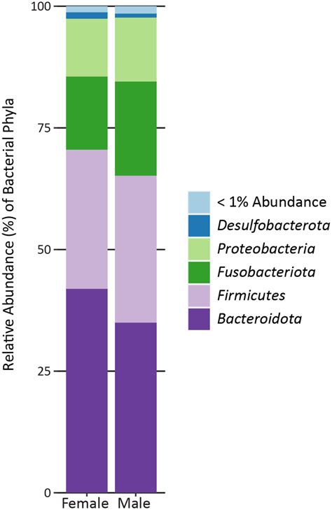 Relative Abundance Of Bacterial Phyla For Captive Echidna By Sex Phyla