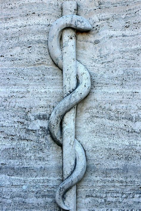 Rod Of Asclepius Wallpaper