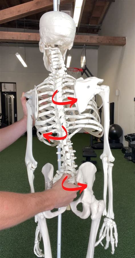 How To Fix Uneven Shoulders Lower Left Vs Right Shoulder Asymmetries In 2022 Shoulder