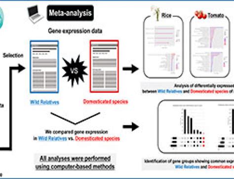 Rna Seq Basics Applications And Protocol Rna Seq Blog