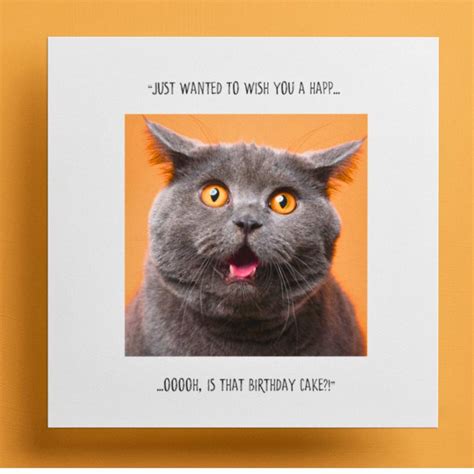 Funny Cat Birthday Card Funny Cat Card Humorous Cat Card Quirky Cat