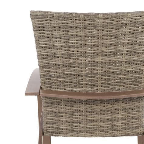 Style Selections Oakhurst Wicker Mocha Steel Frame Stationary
