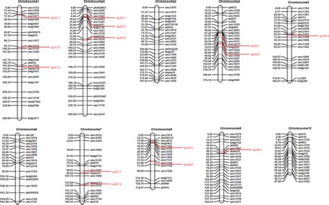 Genetic Linkage Map And Leaf Angle Qtl Identified In Four Way Cross Download Scientific Diagram