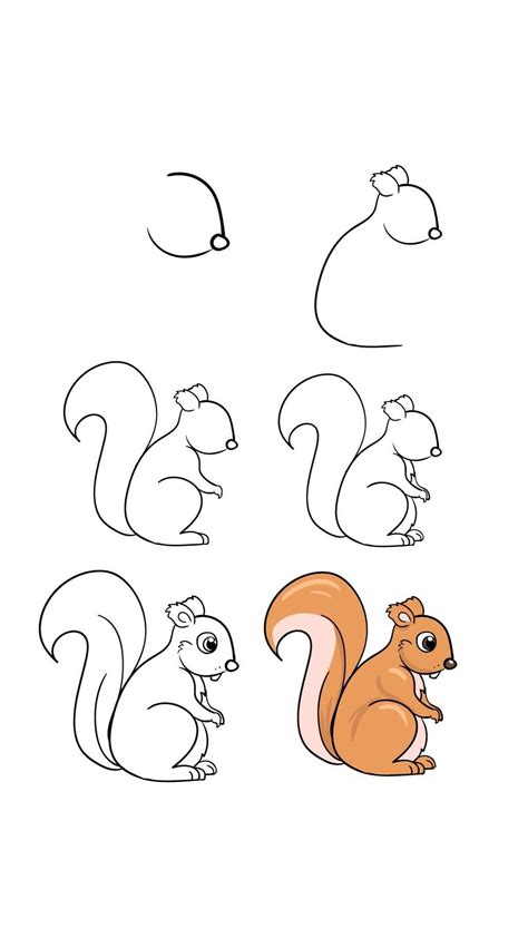 How To Draw A Squirrel Step By Step Artofit