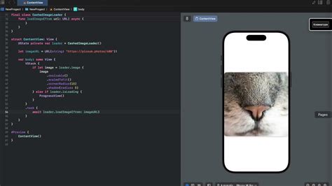 Полный курс по Swiftui Ч 20 Asyncimage и кастомная загрузка