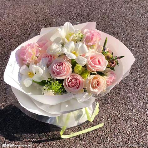 花束摄影图花草生物世界摄影图库昵图网
