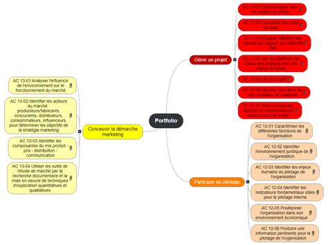 Portfolio 1 5393 Mindview Mind Mapping Software