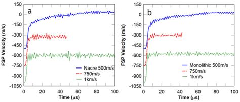 A Numerical Modelling Framework For Investigating The Ballistic Performance Of Bio Inspired Body
