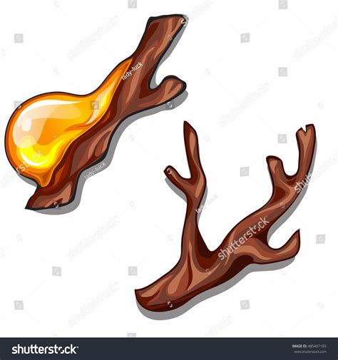 382 Tree Sap Stock Illustrations Images And Vectors Shutterstock