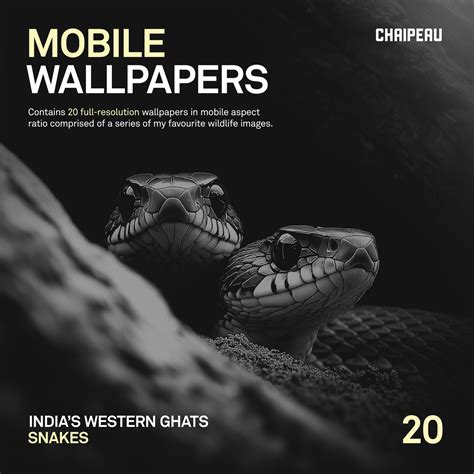 Black And White Generative Ai Fine Art Chaipeau