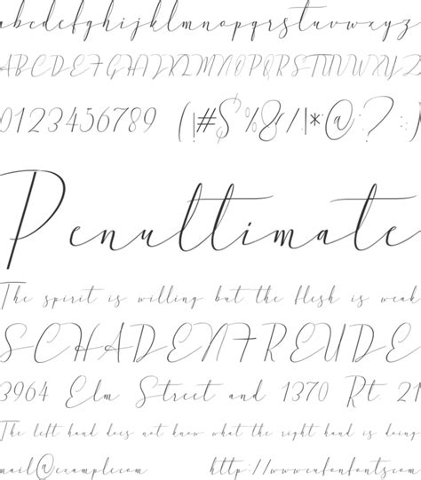Absolute Font Download Free For Desktop Webfont