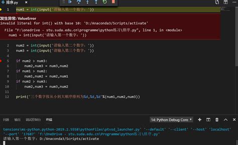 新手求助：用vscode运行python代码的调试时的问题 Csdn社区