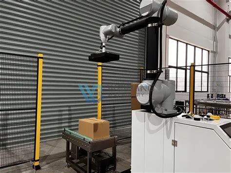 Industrial Collaborative Robot Palletizer Pick And Place 6 Axis Robot Arm Cobot Robot Arm