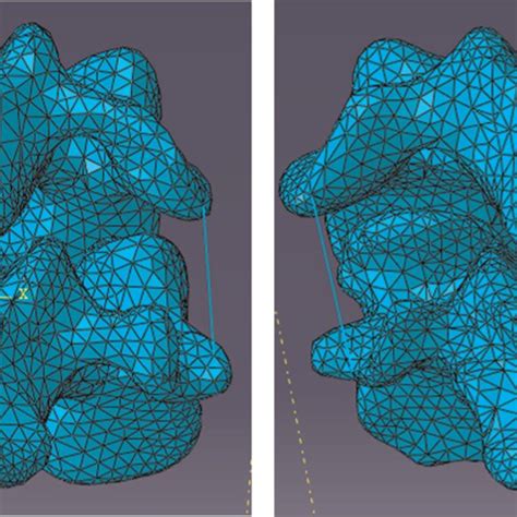 Finite Element Model Validation In Range Of Motion Under Physiological Download Scientific