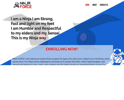 Ninja Force Idea Foundation