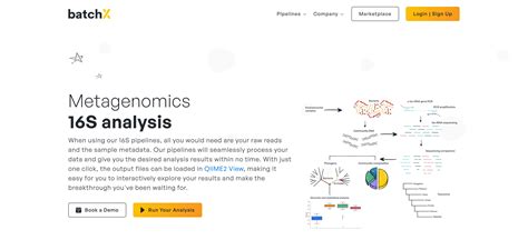 metagenomics 16s analysis batchx supercharge your research with our