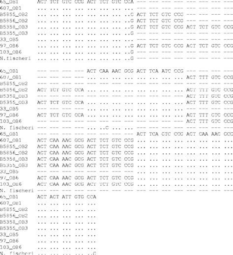 Alignment Of The CSP Repeat Region Representative CSP STs Are Shown As Download Scientific