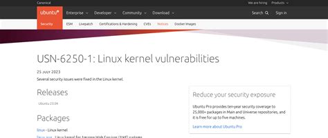 urgente vulnerabilidades foram encontradas no ubuntu kernel saiba