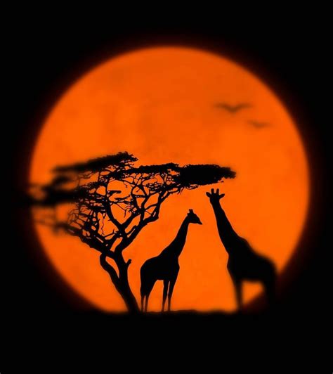 Javas Journey Journal Jotted