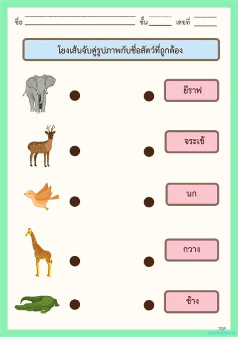 Interactive Worksheets And Online Exercises In Thai Topworksheets