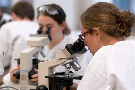 Biomedical Imaging And Optics College Of Engineering University Of