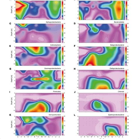Spatio Temporal Dynamics Of Major Bacterial Taxa Based On 16s Rrna Download Scientific