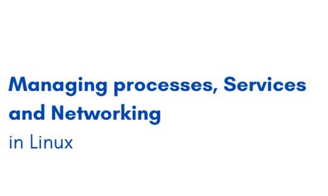 Online Course Managing Processes Services And Networking In Linux From Coursera Project