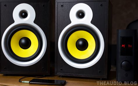 Are Speakers Input Or Output Devices