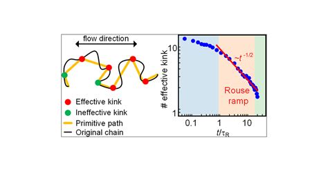 Effective Entanglement And Constraint Release In Deformed Polymer Melts Macromolecules