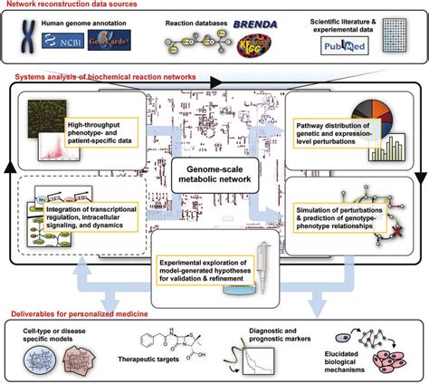 Biochemical Networks For Personalized Medicine Biochemical Reaction