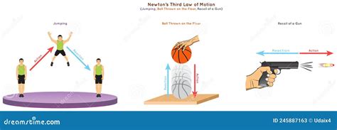 Newton Third Law Of Motion Infographic Diagram Showing Action Reaction Force Direction Stock