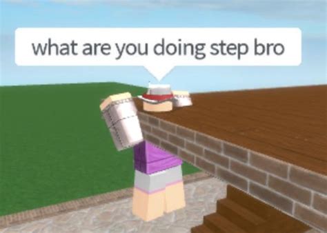 What Are You Doing Step Bro R Gocommitdie