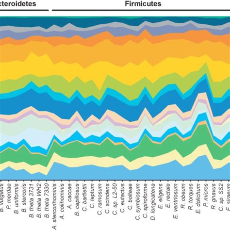 Relative Abundance Of Cog Categories In 36 Sequenced Reference Human Download Scientific