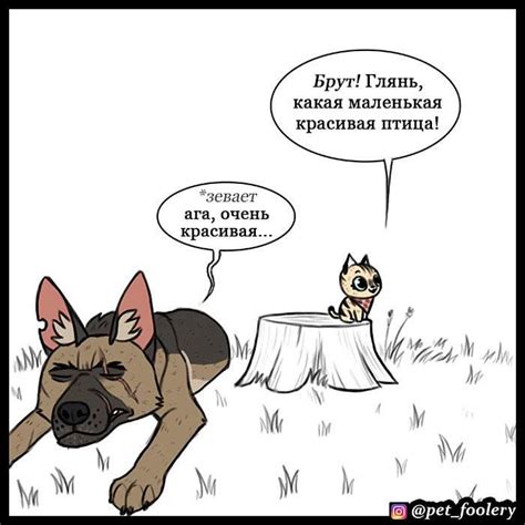 Pixie And Brutus 32 Eagle Part 1 09062020 Rpikabu