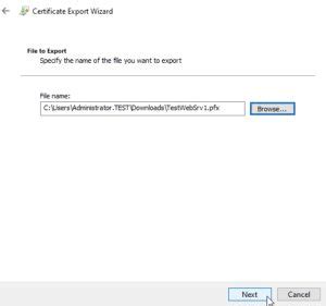 Implementing Two Tier PKI Issuing Web Server Certificate For Windows And Linux Web Servers