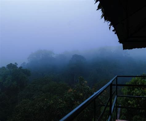 Eco Exotica Tree House Munnar Gold Category Tree House In Mankulam Kamaraa Com