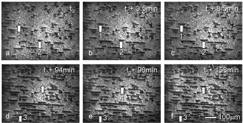 3 Dislocation Propagation During Epitaxial Growth Snapshots From An Ldm Download Scientific
