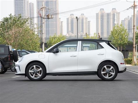 温州瑞安华欧欧拉店 欧拉好猫售价838万元起且价格稳定欧拉好猫 2025款 430km 尊荣型汽车新闻 中关村在线