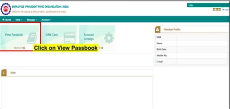 PF Balance Check View PF Passbook IndiaFilings