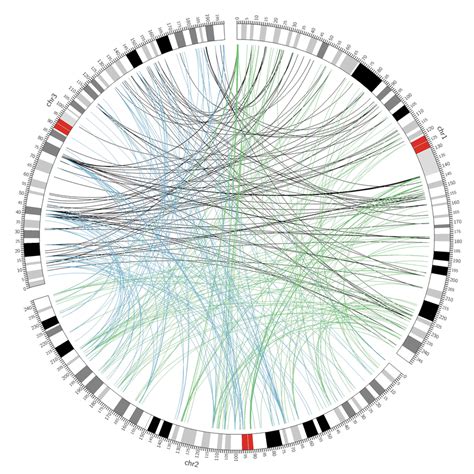Tutorial Images Circos Circular Genome Data Visualization