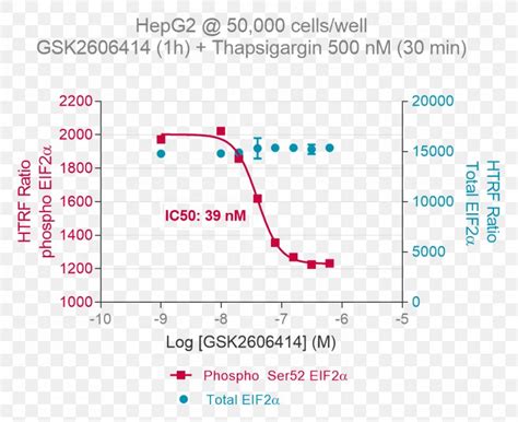 Eif2 Phosphorylation Eukaryotic Translation Initiation Factor 2 Alpha Kinase 1 Assay Cell Png